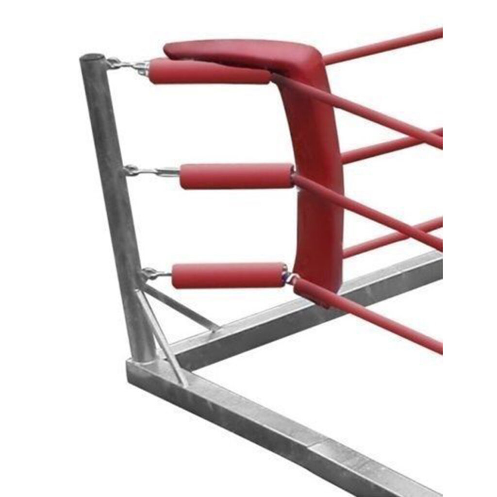 Boxing Rings & MMA Cages – Martial Arts Facility by TOP TEN